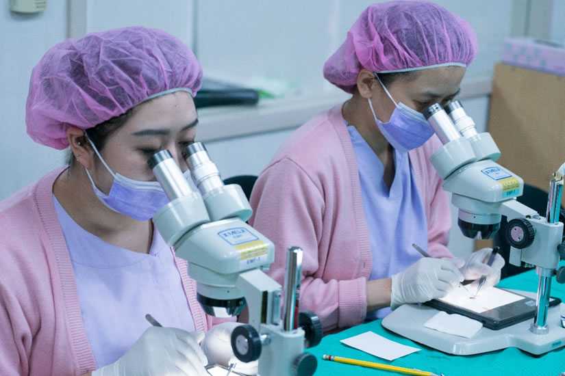 COMBO High Density Hair Transplant Taiwan Hair Transplant COMBO High Density Hair Transplant Taiwan Hair Transplant